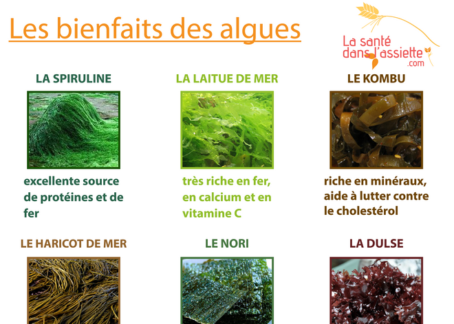 La Santé dans l'Assiette: Fiche pratique - Les bienfaits des algues