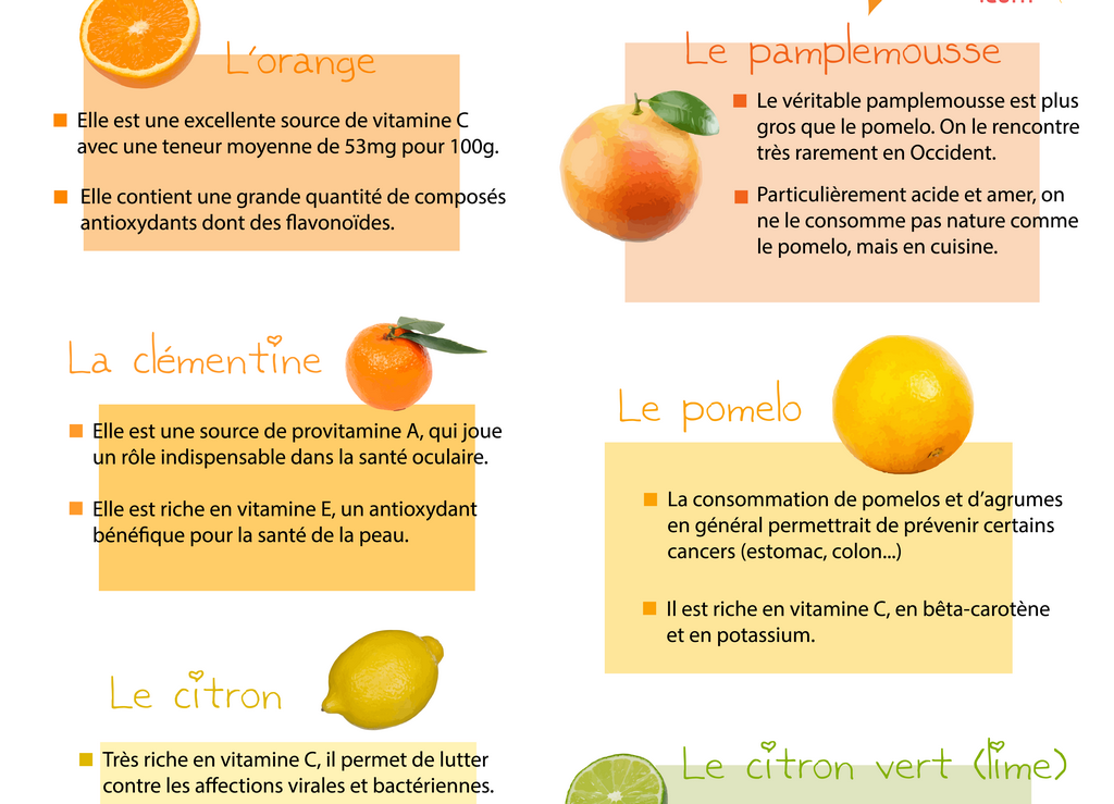 La Santé dans l'Assiette: Fiche pratique - A la découverte des agrumes