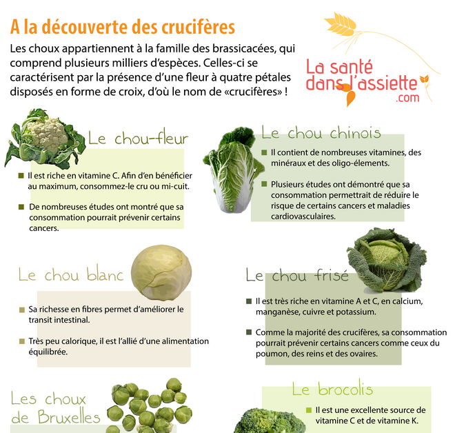 Fiche pratique - Les bienfaits des choux