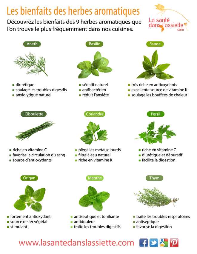 La Santé dans l'Assiette: Fiche pratique - Les bienfaits des herbes ...
