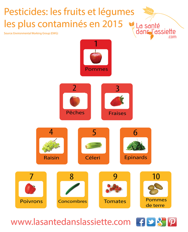 La Santé dans l'Assiette: Fiche pratique - Les fruits et les légumes ...